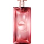 Los mejores perfumes para 2025 que marcan tendencia - Marvimundo Blog